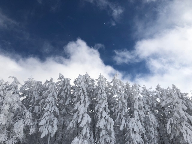 2023 - YBC 山形放送