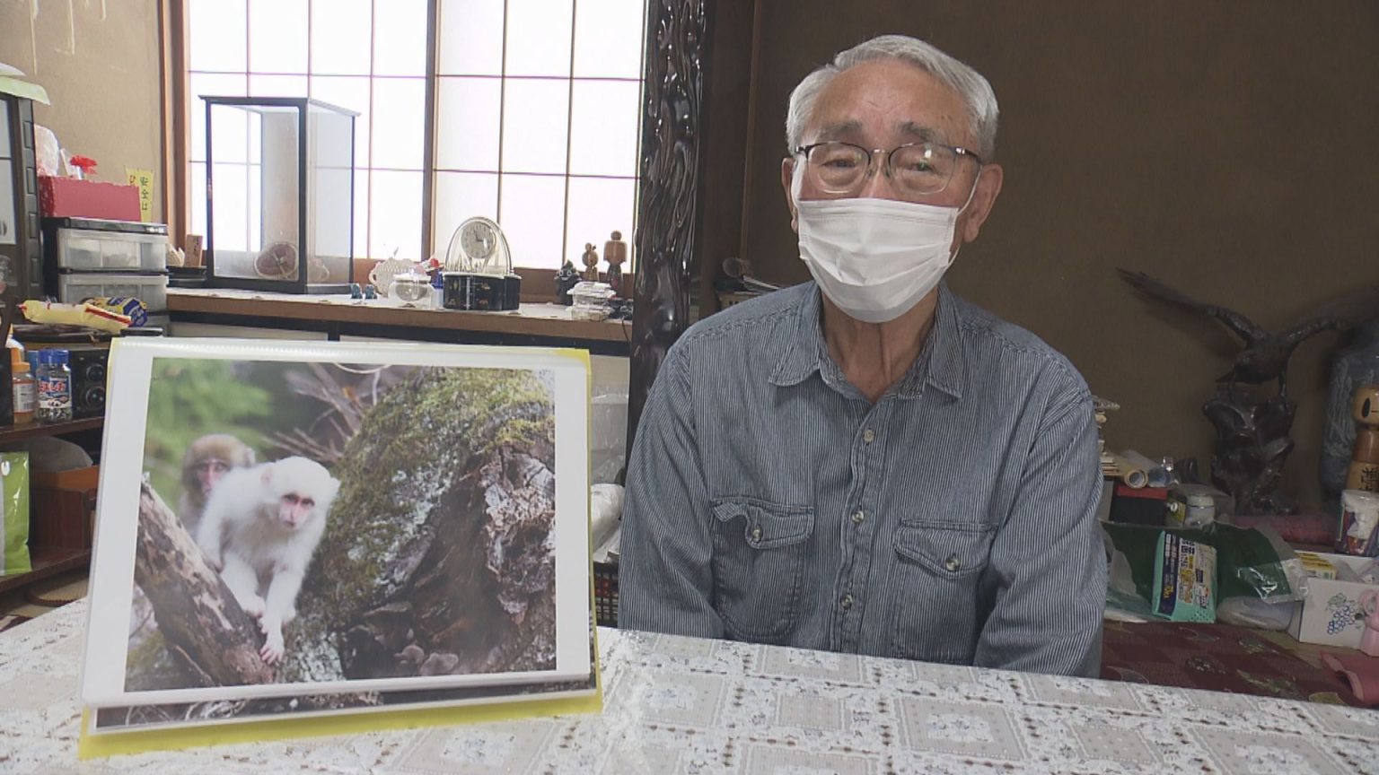 吾妻の白猿』～山の神の使いに魅せられて〜」＜2023年6月17日放送＞ - YBC 山形放送