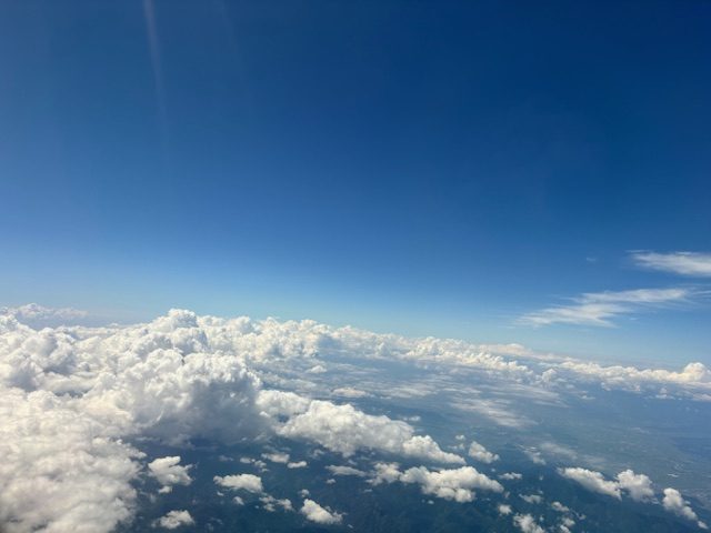 夏休み2024 - YBC 山形放送