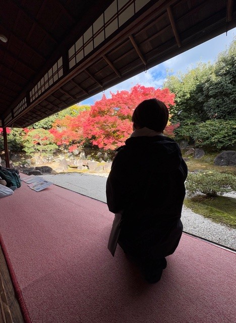 『私を〇〇に連れって』2024.12.14 - YBC 山形放送